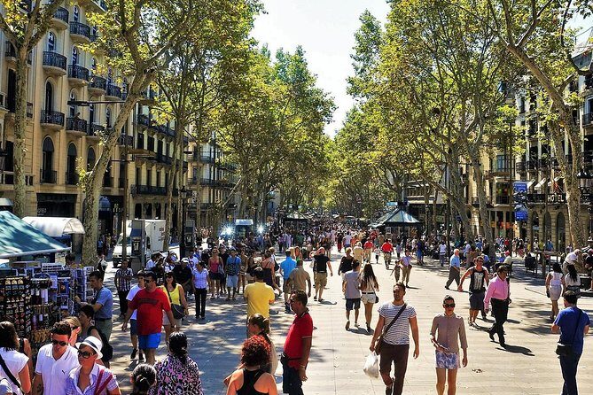 Private Barcelona Highlights Tour with Hotel pick-up - Who Will Love This Tour?