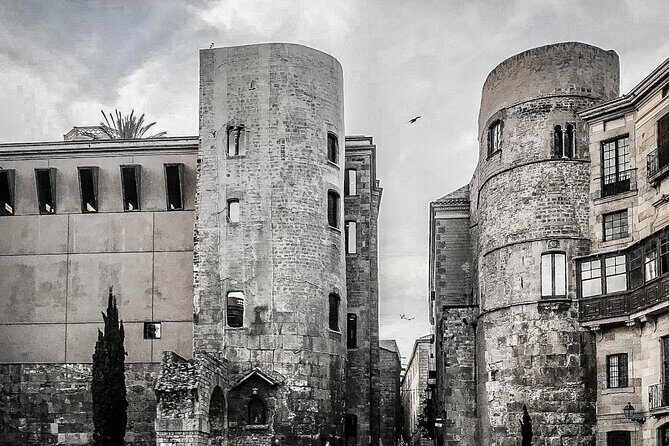 Private Barcelona Old Town Walking Tour: Gothic Quarter & Born - Who Should Consider This Tour?