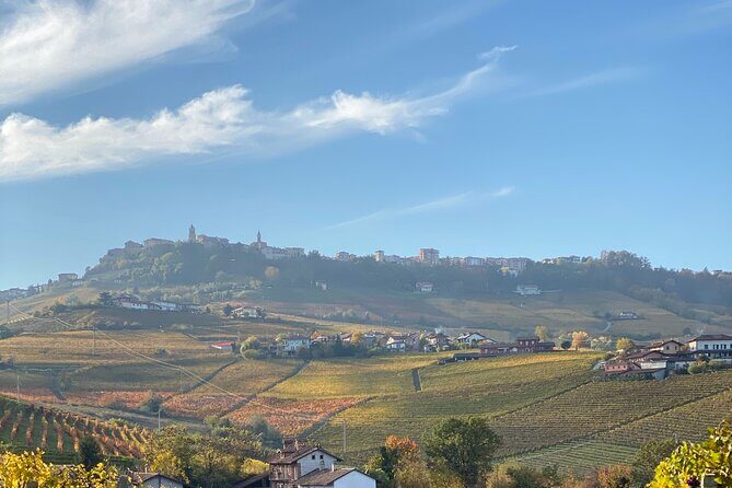 Private Barolo / Barbaresco - Piedmont Wine Tours and Tastings - Real Experiences: What Travelers Are Saying