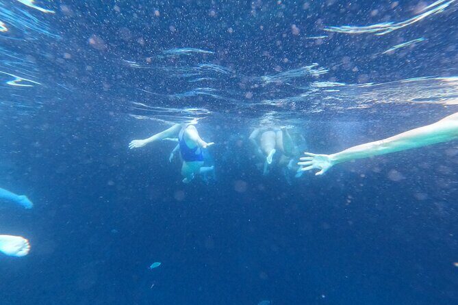 Private Blue Cave and Elaphiti Islands Half Day Tour - What’s Included & What You Should Bring