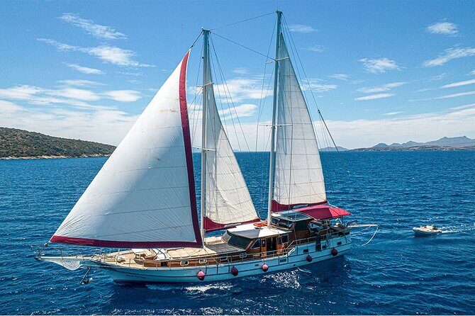 Private Boat Experience in Bodrum Coast with Snorkeling and Coves - Food and Beverage Experience