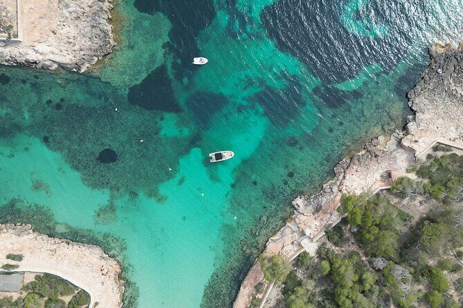 Private Boat Tour of San Antonio with Paddel surfing and Snorkeling - Authentic Experiences & What Reviewers Say