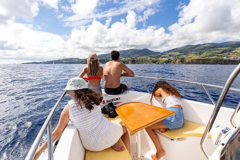 Private Boat Tour: Vila Franca do Campo Islet & Coast - The Value of a Private Experience