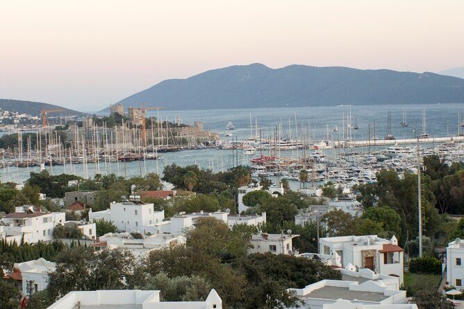Private Bodrum Shore Excursion from Bodrum Port - Who Will Love This Tour?
