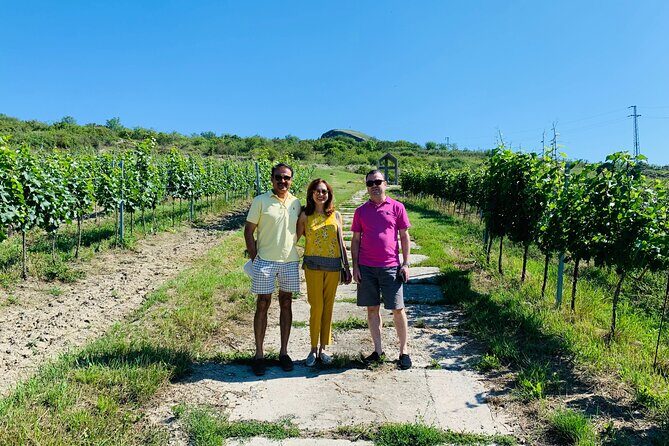 Private Bohemia Wine Tour from Prague with Gourmet Tastings - The Experience: What to Expect and Why It Matters