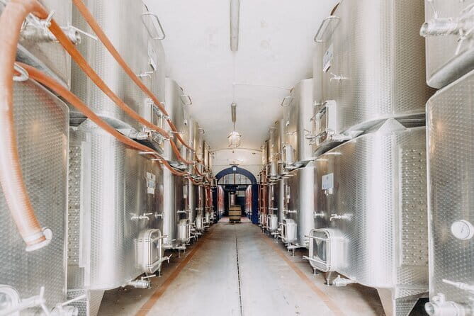 Private Chianti Safari: Off Road Tuscany Wine Tour with Lunch from Florence - Practical Tips & Considerations