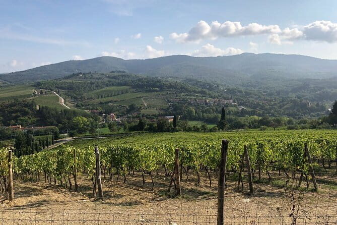 Private Chianti Wine Tasting from Florence, Half Day Experience - What Makes This Tour Stand Out?
