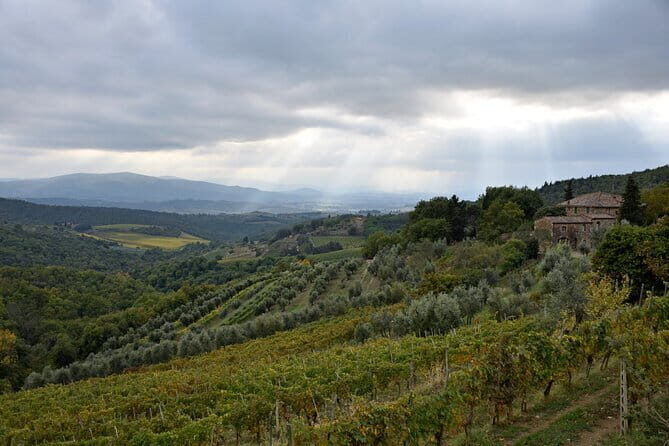 Private Chianti wine tour - FAQs