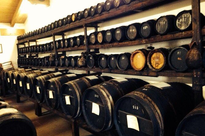 Private Day Tour & Lunch: Parmesan, Wine, and Vinegar Tasting - The Value in This Tour