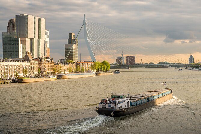 Private Day Tour: Rotterdam and The Hague. English or Spanish - The Practical Side: Transport, Timing, and Comfort