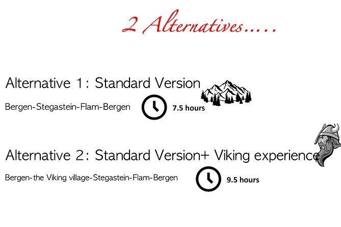 Private Day Tour to Flam and Stegastein - Practical Aspects and Value