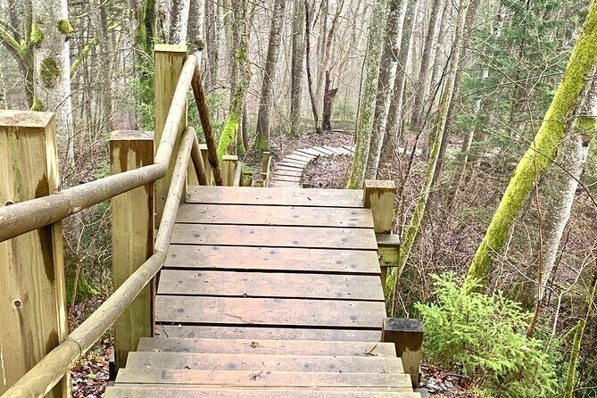 Private Day Tour to Sigulda, Turaida Castle and Soviet Bunker - Authentic Experiences Based on Guest Feedback