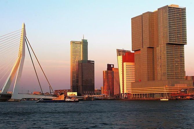 Private Day Trip from Amsterdam to Rotterdam and the Hague - Who Should Consider This Tour?