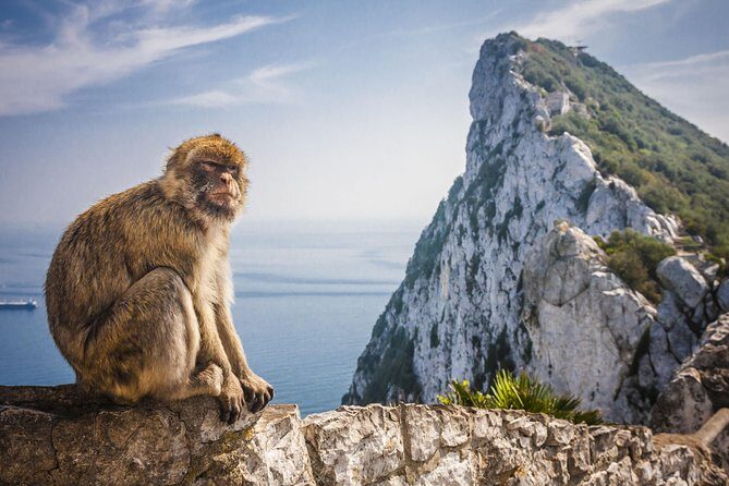 *Private Day Trip* Gibraltar and Vejer from Cádiz - Real Traveler Insights & Practical Tips