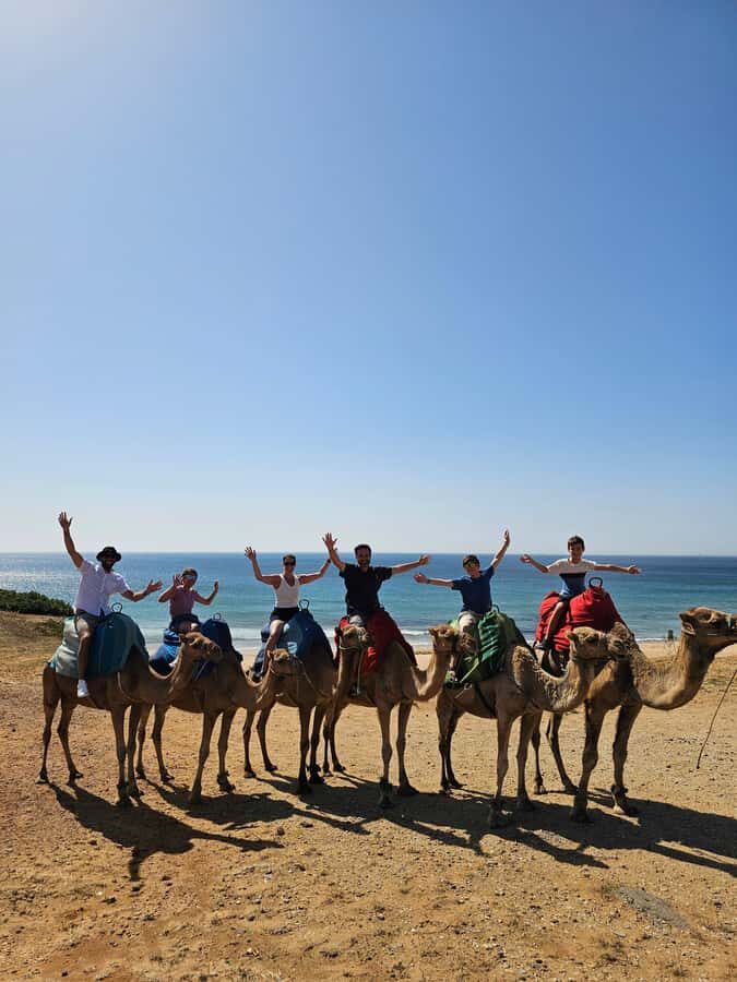 Private Day Trip: Gibraltar & (Tangier) Morocco from Seville - A Deep Dive Into the Experience