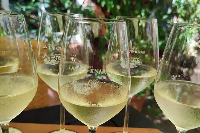 Private day trip to the Romantic Rhine Valley with river cruise and wine tasting - The Sum Up