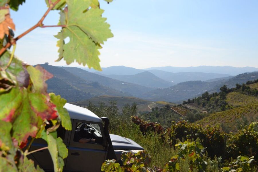Private Douro Valley 4WD Tour with Wine Tasting and Picnic - Who Should Consider This Tour?