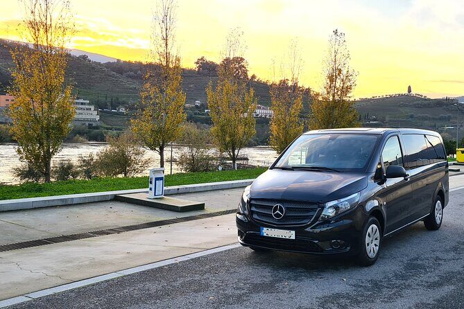Private Douro Valley Tour (2 wineries + boat) - Transportation and Comfort