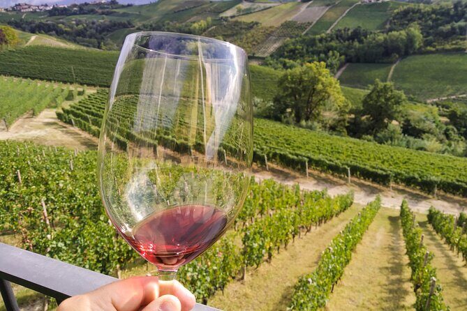 Private E-bike Tour " Langhe del Barbaresco " - Asphalt only - Practical Details and What to Expect