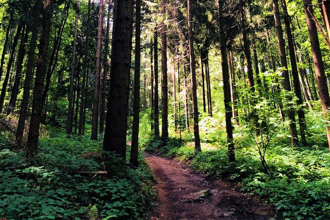 Private eclectic hiking experience of Samobor Hills - Final Thoughts