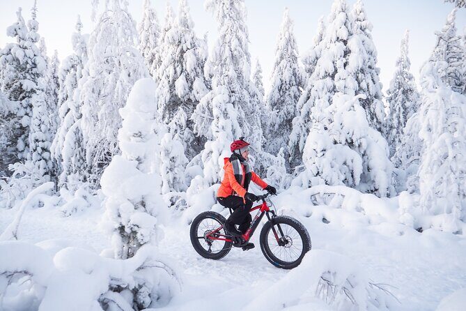 Private Electric Fat Bike Winter Tour in Rovaniemi - Authentic Experiences from Reviews