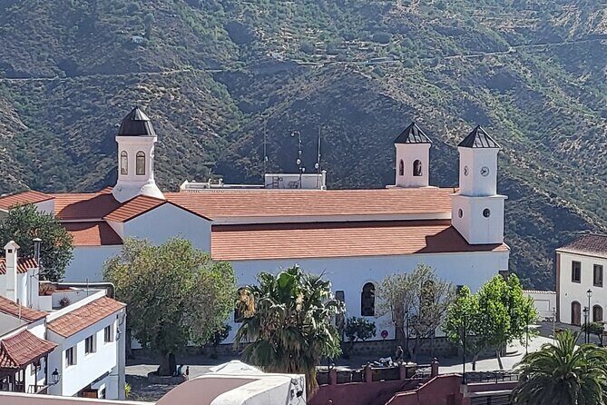 Private Excursion The mountains of Gran Canaria for 2 to 4 people - The Sum Up: Who Is This Tour Best For?