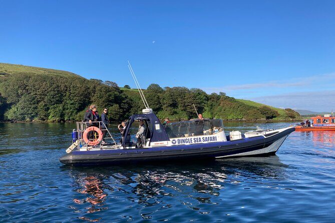 Private family sea safari - Is this Tour Worth It?