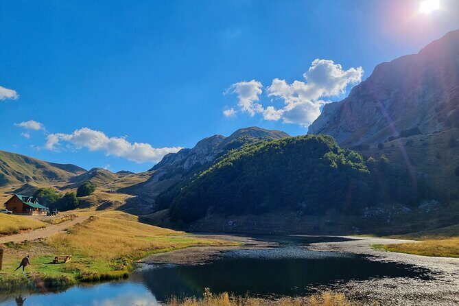 Private Full Day Safari Tour - Who Will Love This Tour?