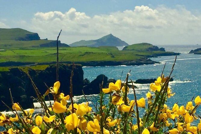 Private Full Day Tour From Killarney - Ring of Kerry/Skellig - The Itinerary in Detail
