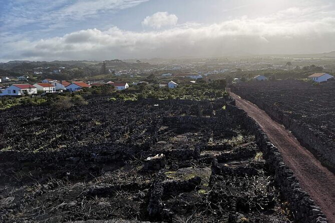 Private full day visit to Pico, a first impression - The Experience: What Travelers Are Saying