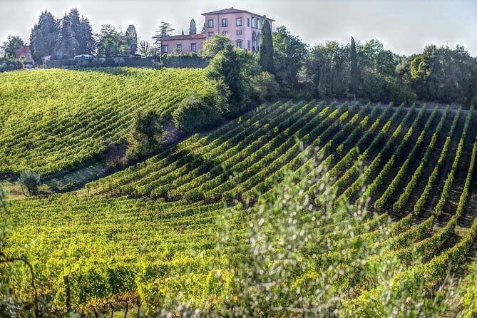 PRIVATE Full-Day Wine Experience in Chianti Classico. - What Makes This Tour Stand Out?