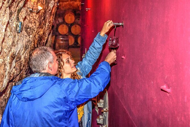 Private Full Day Wine Tour in Rioja - The Itinerary: Exploring Rioja’s Vineyards and More