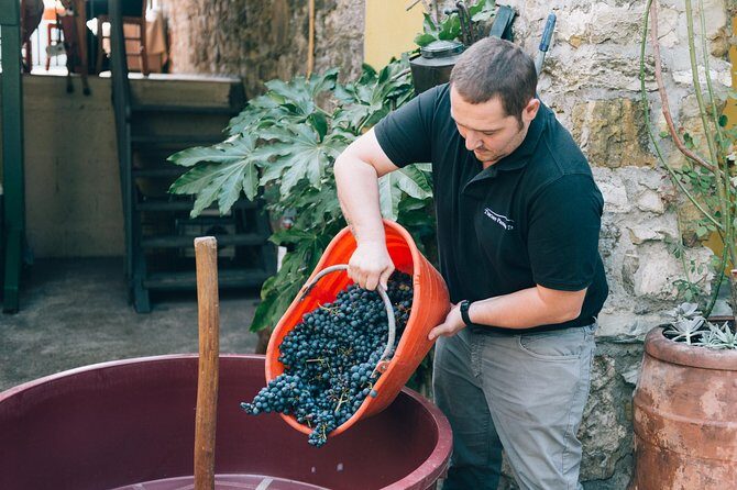 Private Grape stomping at Chianti Farmhouse - An In-Depth Look at the Tour Experience