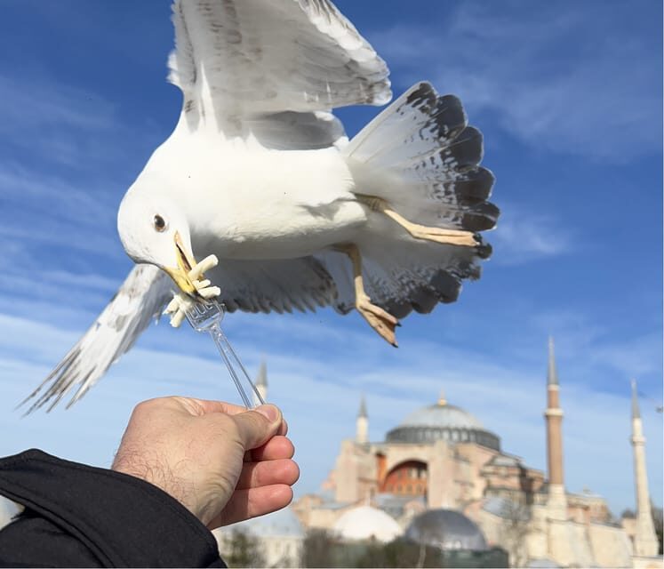 Private Guided Istanbul Luxury Tour (Tickets and Transfers) - Who Should Book This Tour?
