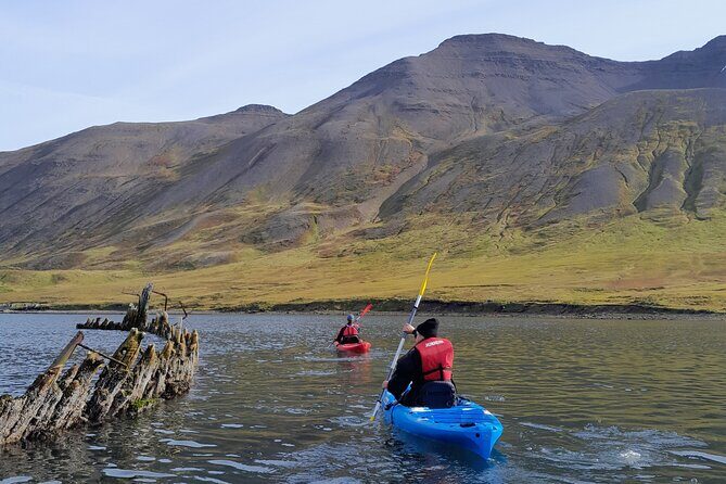Private: Guided kayak tour in Siglufjörður / Siglufjordur. - What to Expect from the Tour