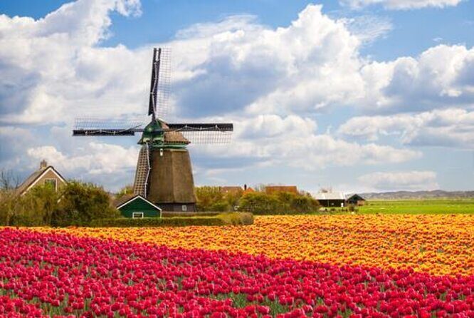 Private Guided Keukenhof Gardens and Zaanse Schans Tour - The Sum Up