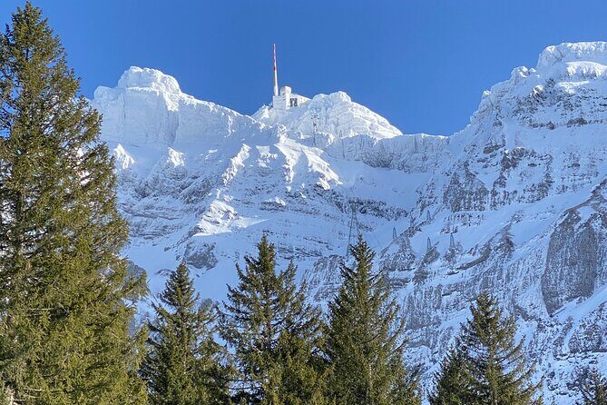 Private Guided Swiss Alps Day Trip from Zurich with Hotel Pick-Up - What Sets This Tour Apart?