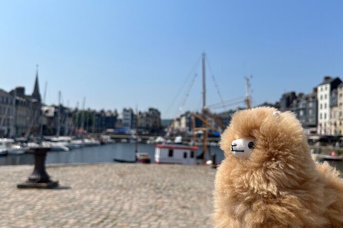 Private Guided Tour In Normandy - Rouen, Honfleur, Etretat - Review Insights: Authentic Experiences and Guides