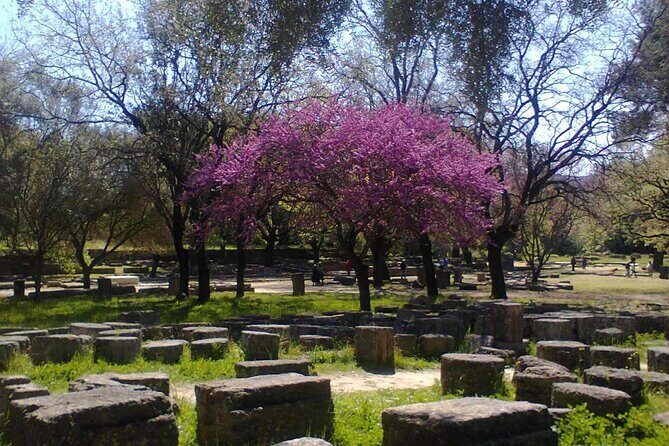Private Guided Tour of the Archaeological Site and Museum of Olympia - The Itinerary: A Deep Dive into Olympia’s Heritage
