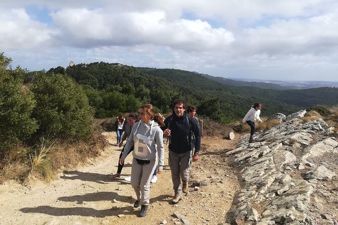 Private Half Day Hiking in Sintra-Cascais Natural Park - The Itinerary in Detail