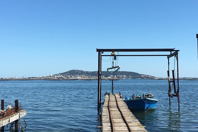 Private Half-Day Languedoc Wine and Oyster Tour from Sète - Traveler Experience and Feedback