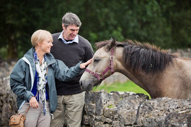 Private Half Day Tour To Connemara - Who This Tour Is Best For