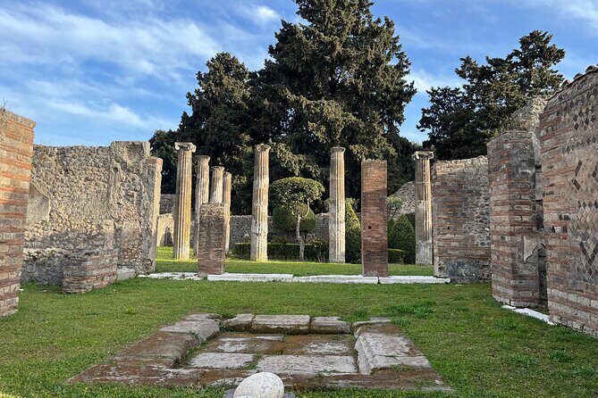 Private Half Day Tour to the Ruins of Pompeii - The Pros and Cons Based on Real Experiences