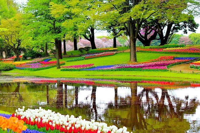 Private Half-Day Trip From Amsterdam to The Tulip Fields in Keukenhof - Who Is This Tour Best For?