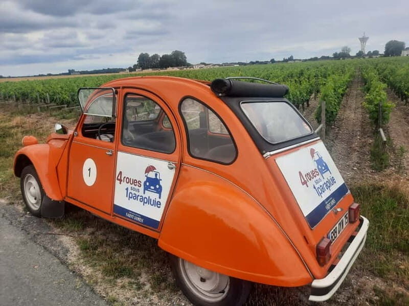 Private Half-Day Wine Tour in Citroën 2CV - Itinerary Breakdown: What to Expect