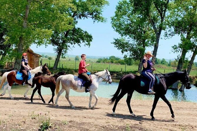 Private Horse Ridding tour - Value and Practical Considerations