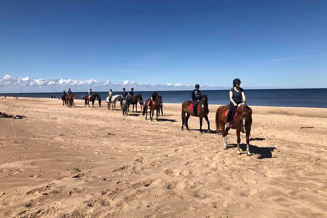 Private Horse Riding on the Beach in Riga - Who Will Love This Tour?