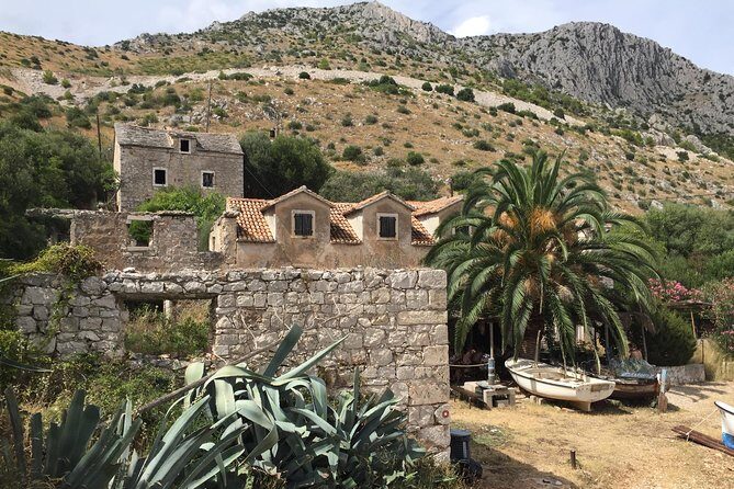 Private Hvar Island Tour and Olive Oil Tasting - Authentic Experiences and Insights from Reviews