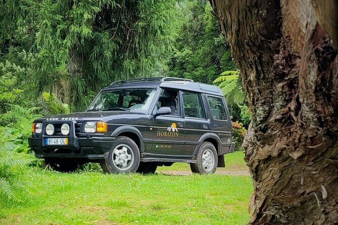 Private Jeep 4x4 : Madeira beyond the ordinary - Who is this tour best for?