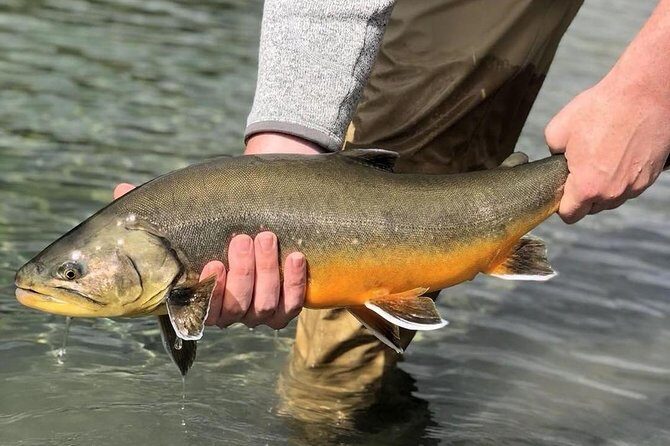 Private Lake and River Fishing Tour from Reykjavik - Final Thoughts